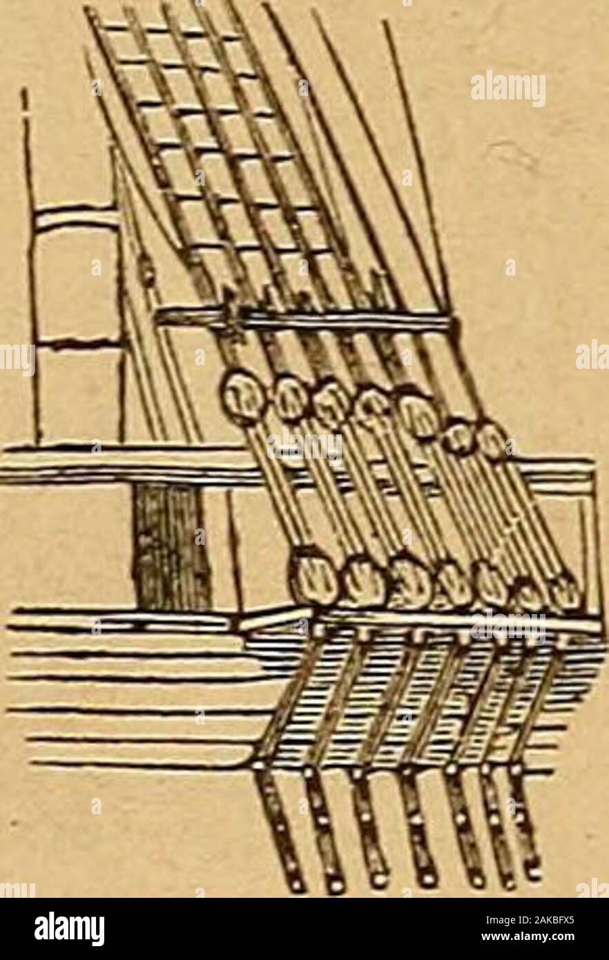 Biest High Resolution Stock Photography and Images - Alamy