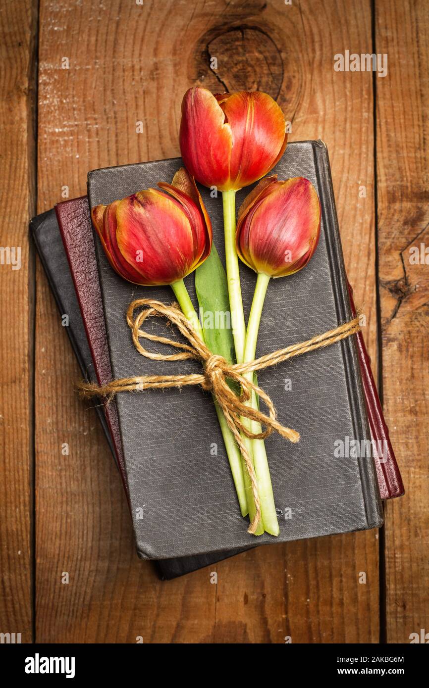 Three fresh red tulips hi-res stock photography and images - Alamy