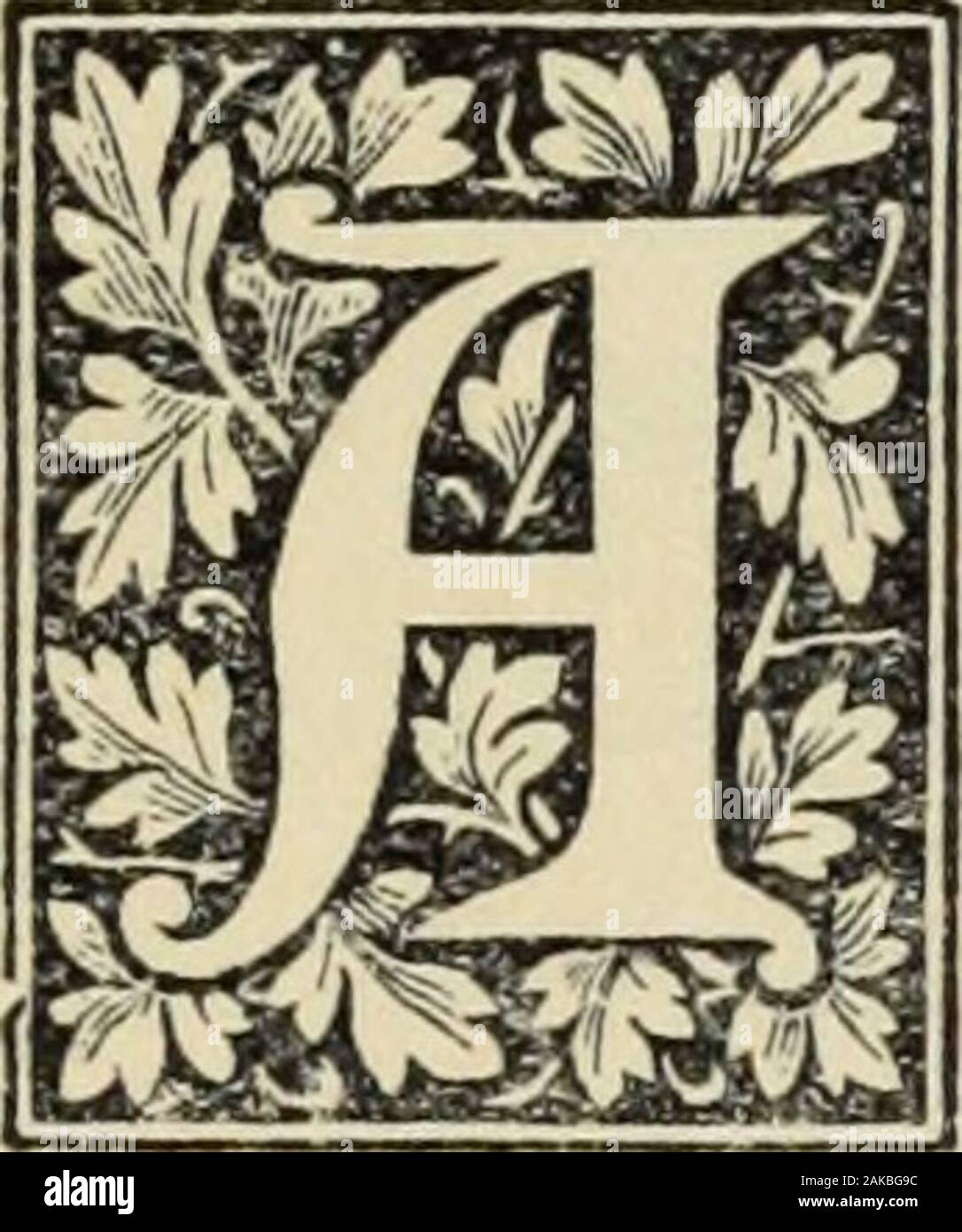 David milman hi-res stock photography and images - Alamy