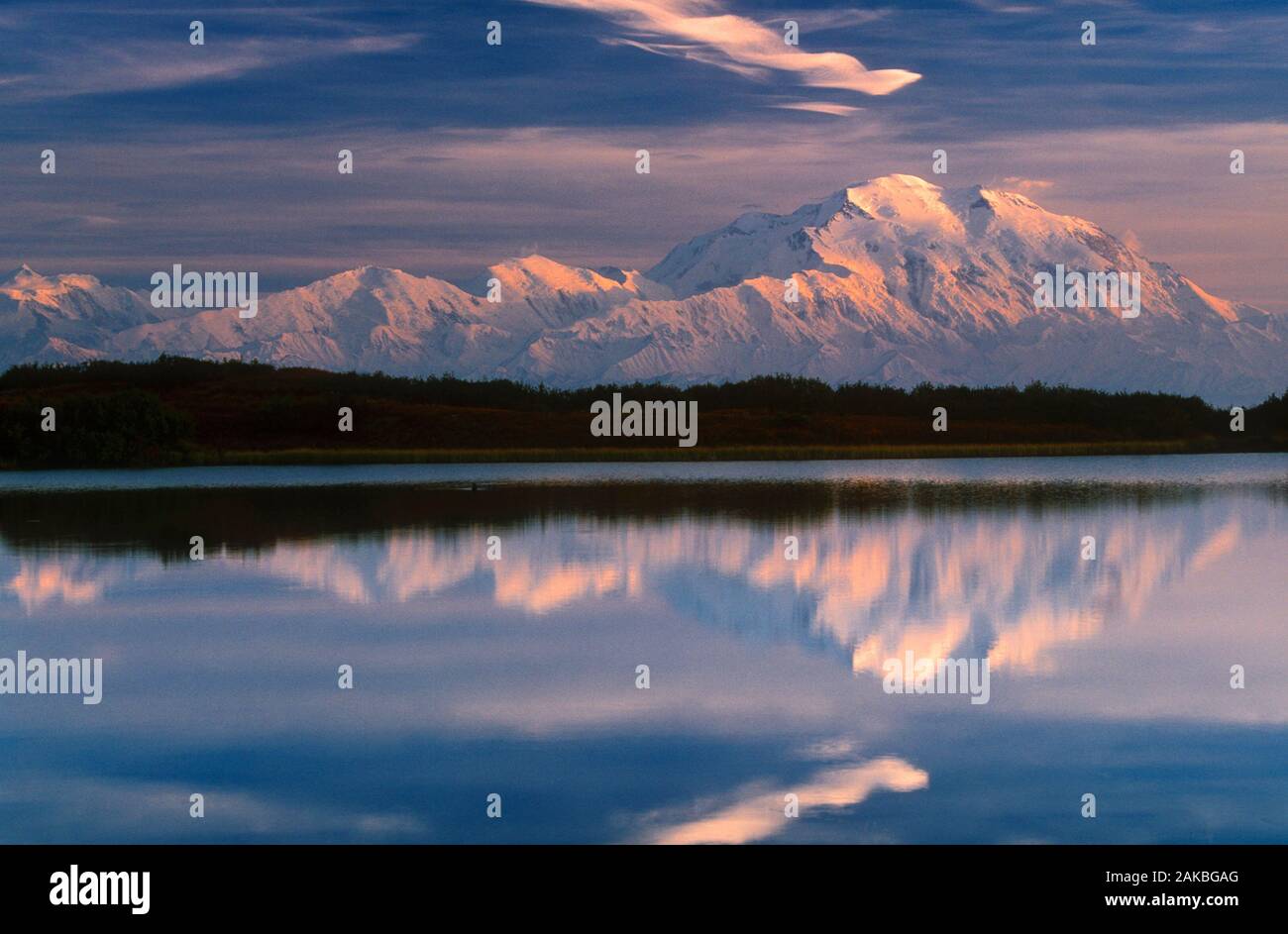Landscape with Mount McKinley, Denali National Park, Alaska, USA Stock ...
