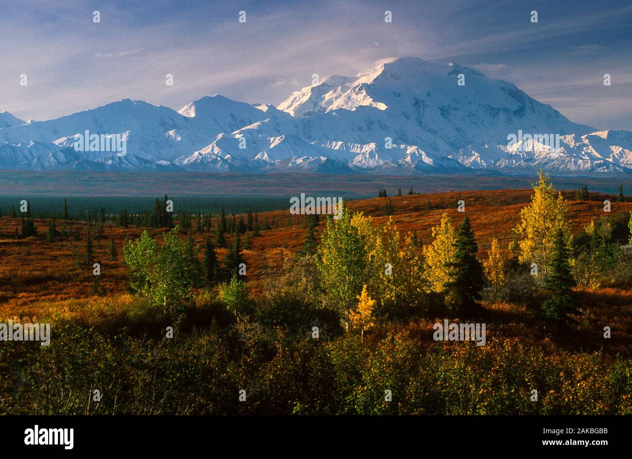 Landscape with Mount McKinley, Denali National Park, Alaska, USA Stock ...