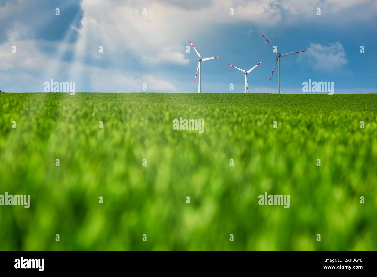 Array of Wind turbines known as wind farm with green field in ...
