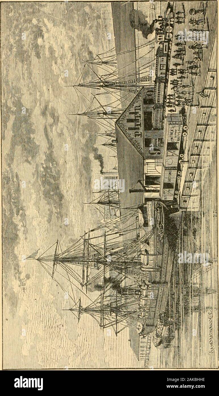 Jacob raine hi-res stock photography and images - Alamy