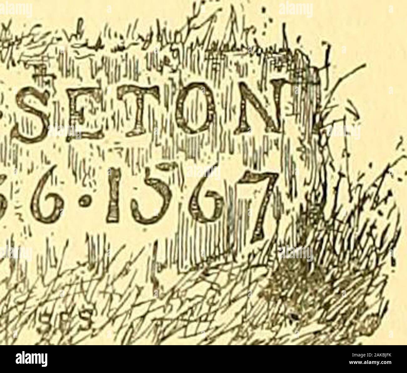 A history of the family of Seton during eight centuries[With plates ...