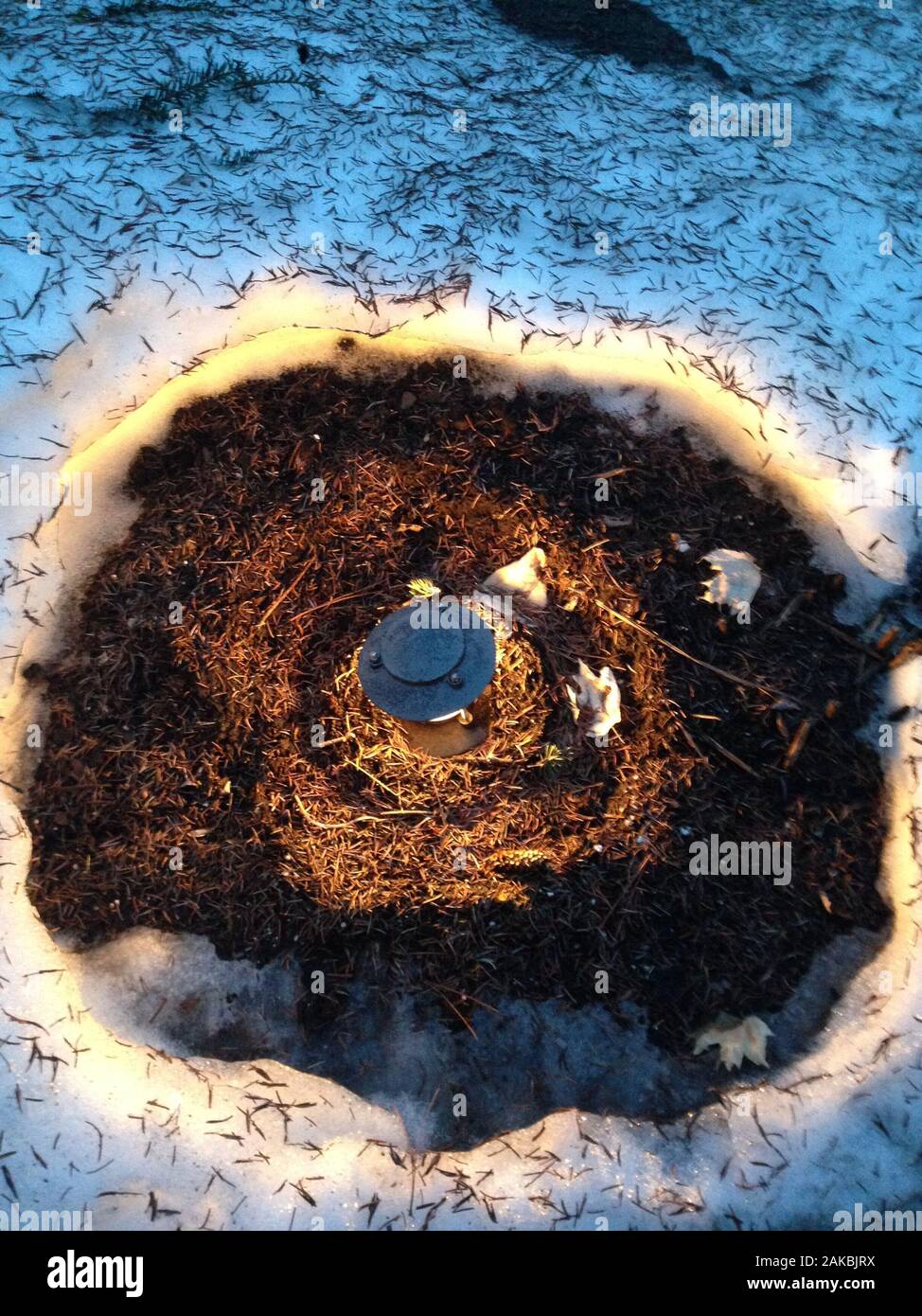 Burnt by frost hi-res stock photography and images - Alamy