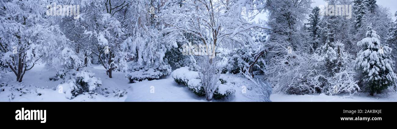 Cold winter color hi-res stock photography and images - Alamy