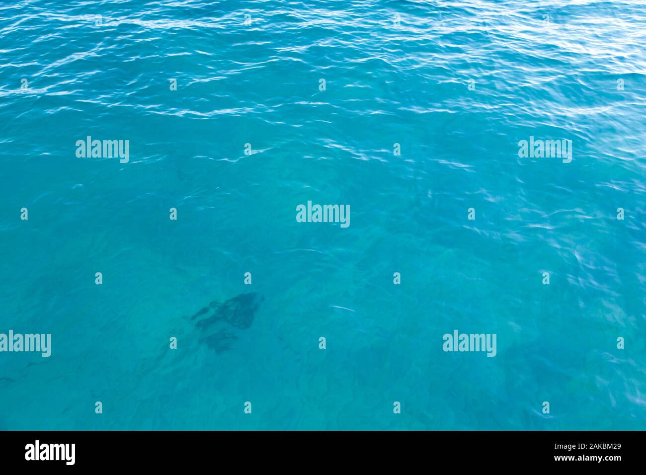 Clear water texture in blue. Background of the ocean and the sea ...
