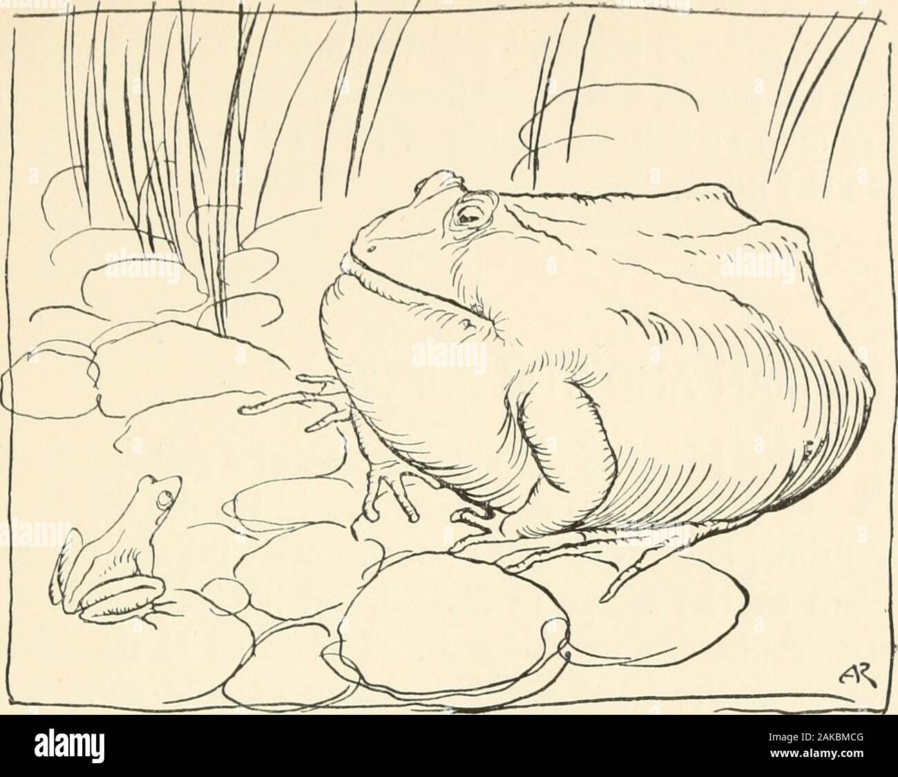 Frog playing dead hi-res stock photography and images - Alamy
