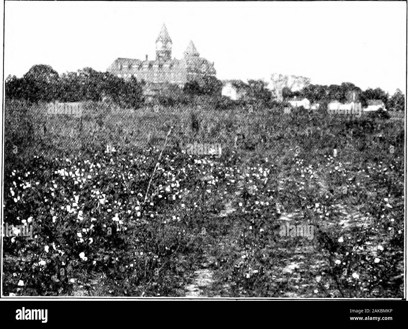 Checking the facts Black and White Stock Photos & Images - Alamy