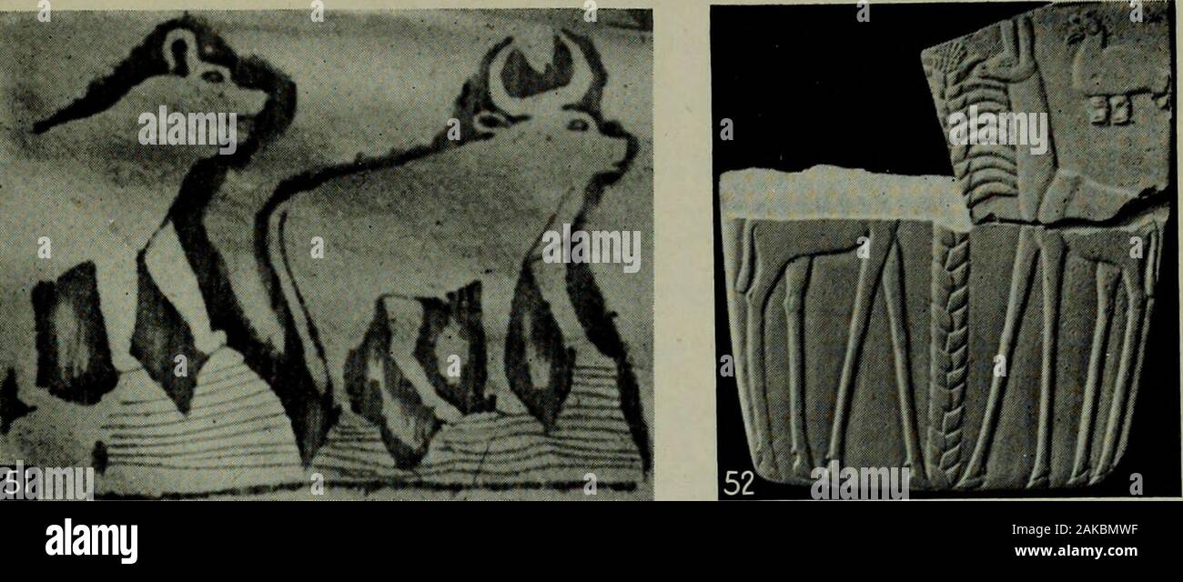 Inferior races hi-res stock photography and images - Alamy