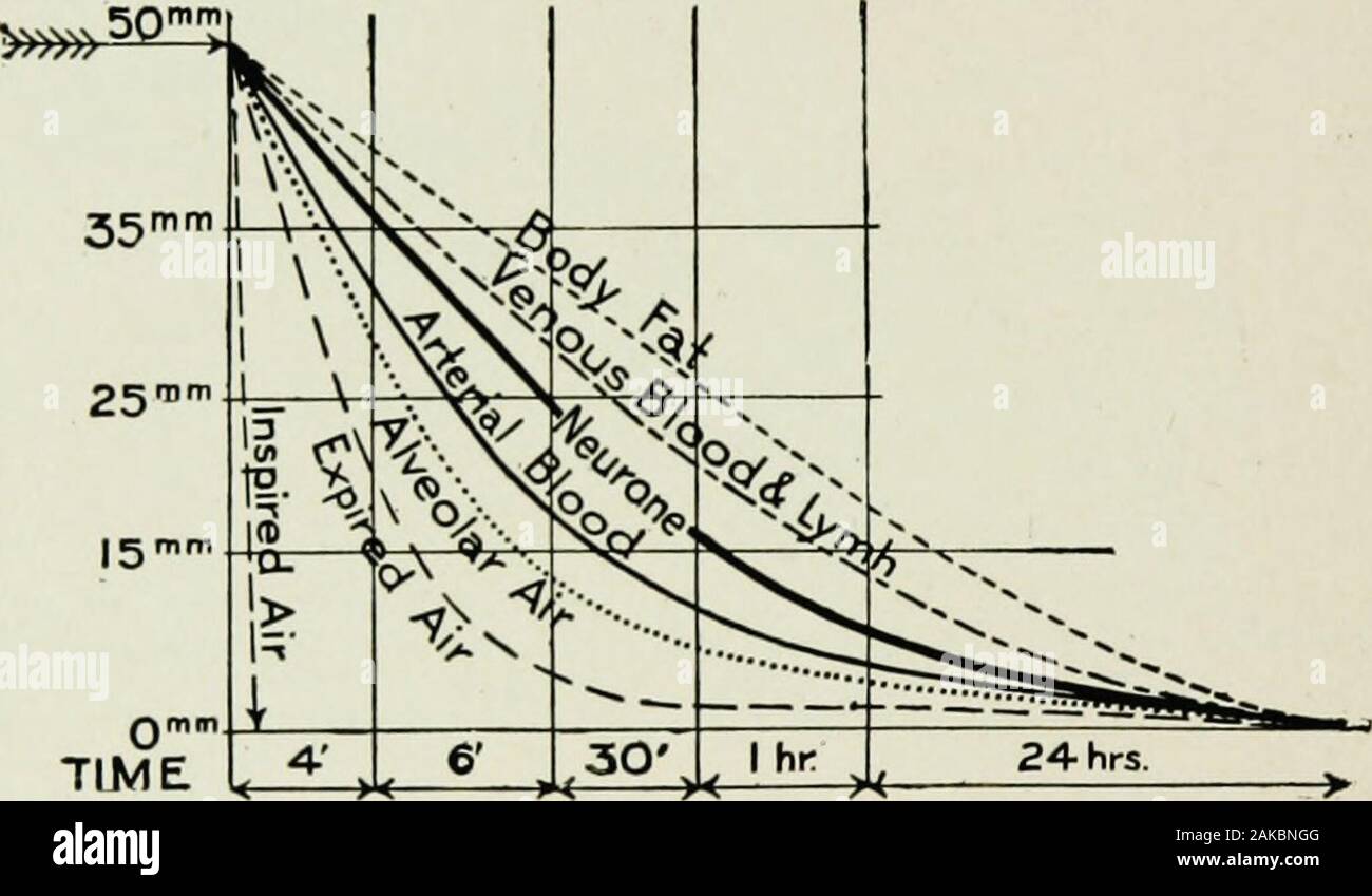 Ether anesthesia mask hi-res stock photography and images - Alamy