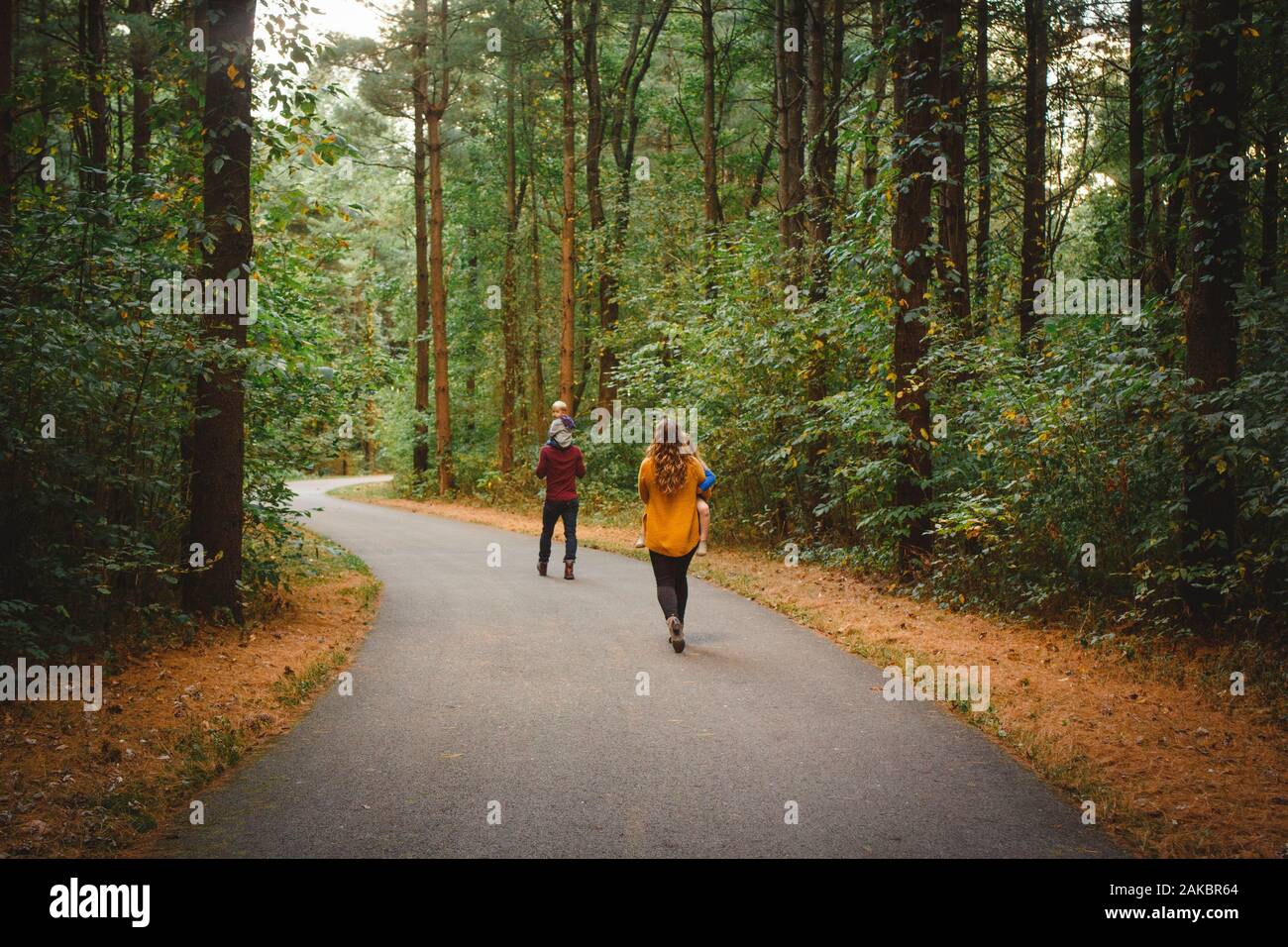 Rear-view of a family walking through a winding forest path in Autumn ...
