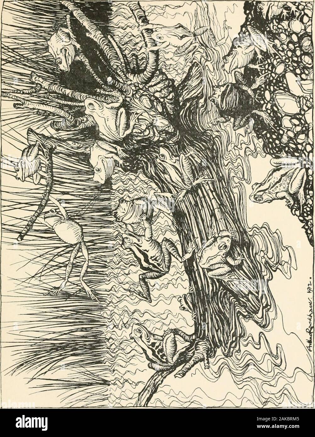 Aesop's fables . THE OLIVE-TREE AND THE FIG-TREE A N Olive-tree taunted ...