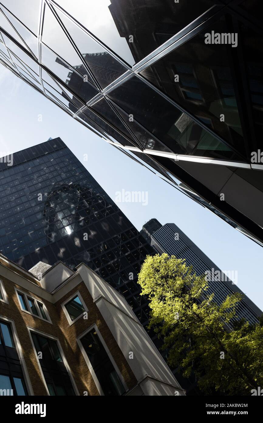 Gurkin hi-res stock photography and images - Alamy