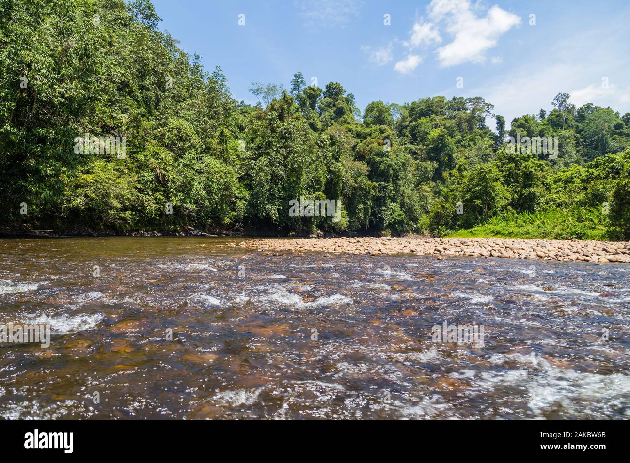 Temburong River, Virgin Rainforest, Ulu Temburong National Park, Brunei ...