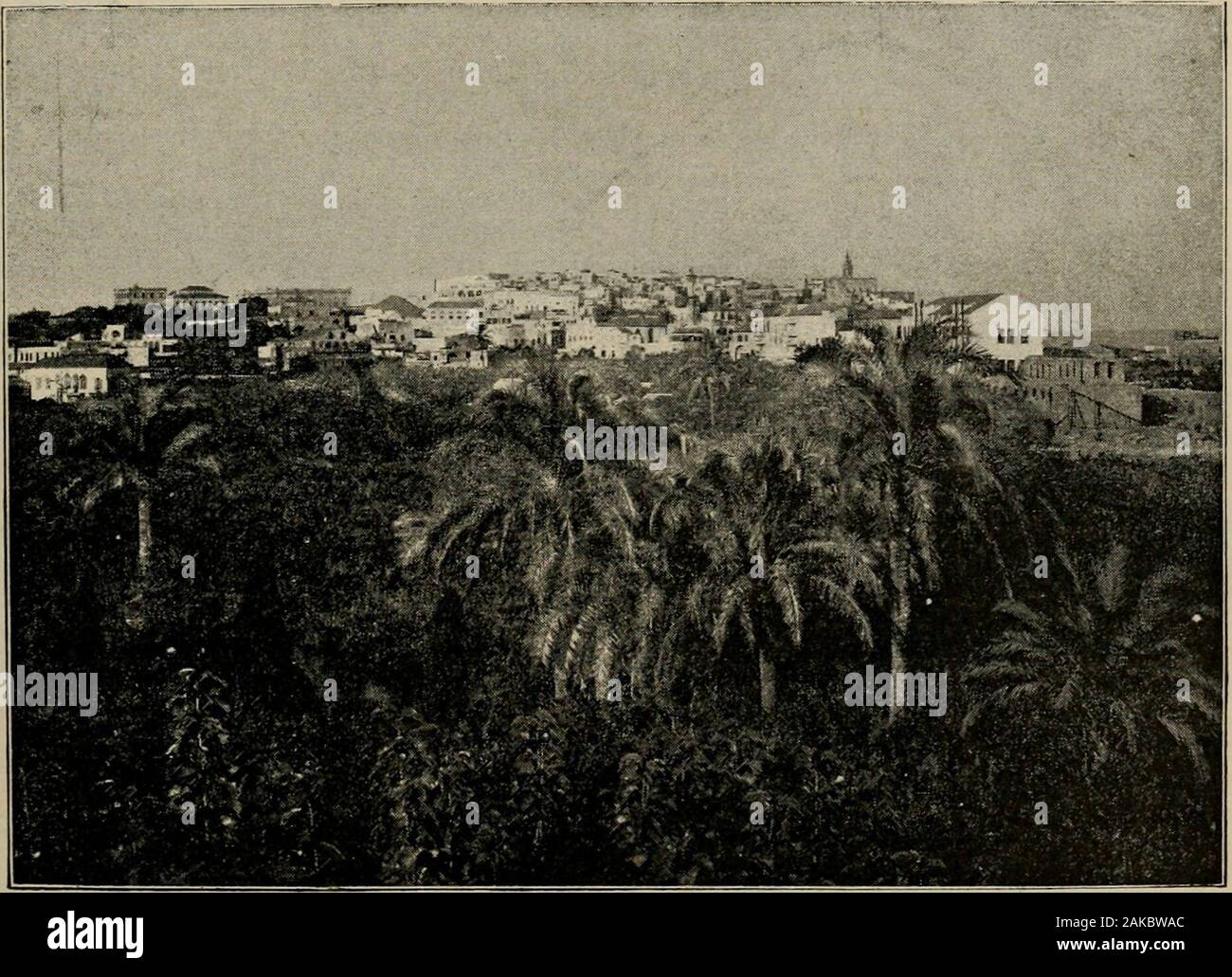 Shealtiel hi-res stock photography and images - Alamy