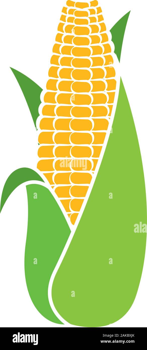 Corn cob icon Stock Vector Image & Art - Alamy