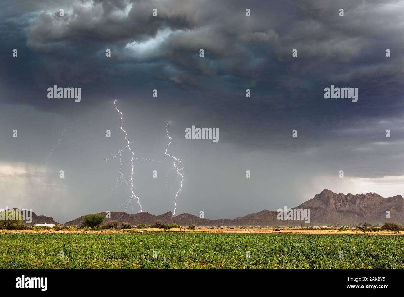 A pair of lightning bolts strike from a monsoon thunderstorm over ...