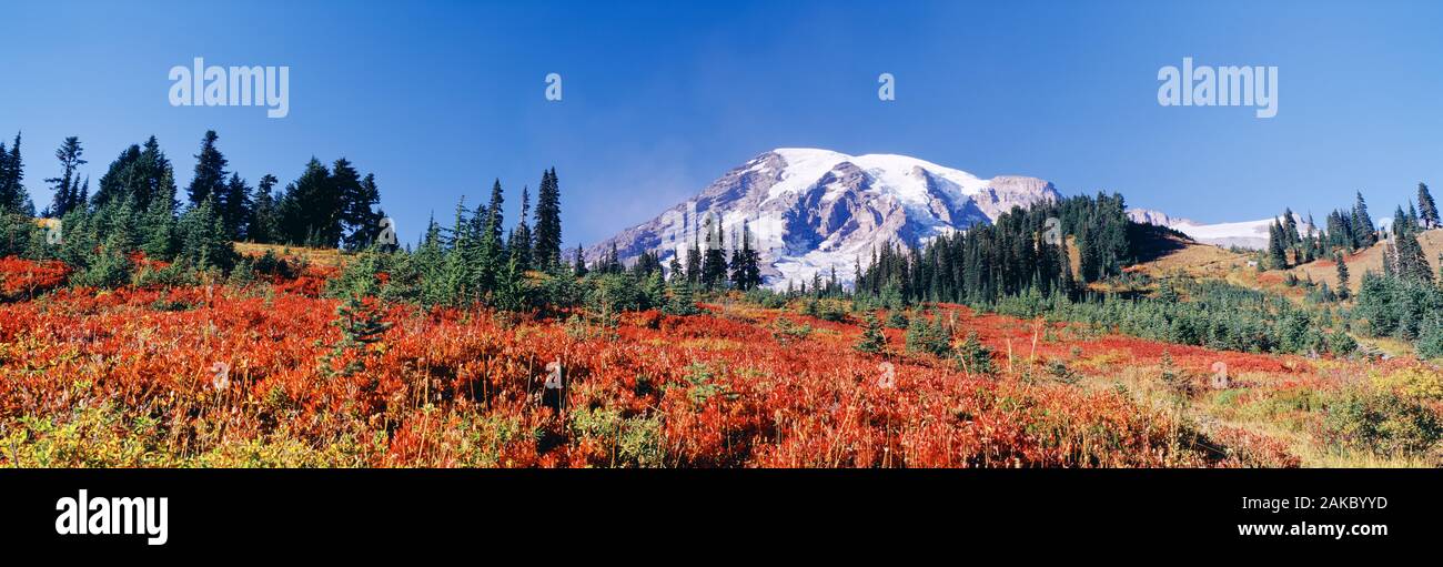 Scenic autumn landscape with Mt Rainier, Washington State, USA Stock ...