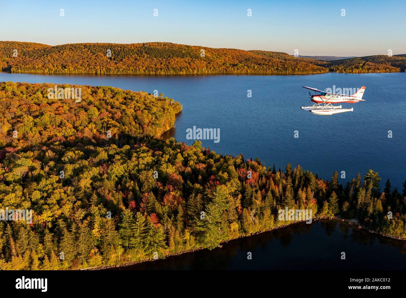 Canadian Forest With L Shaped Lake