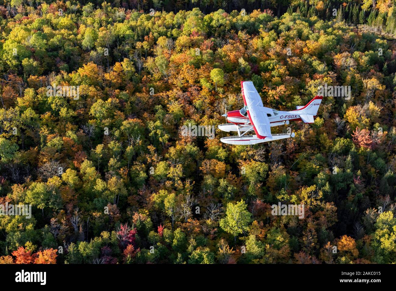 Boreal forest canada hi-res stock photography and images - Alamy