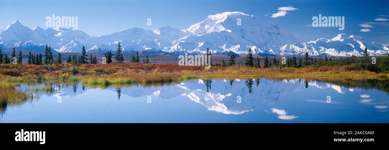 Reflection of a mountain in water, Tundra Pond, Mt McKinley, Denali ...