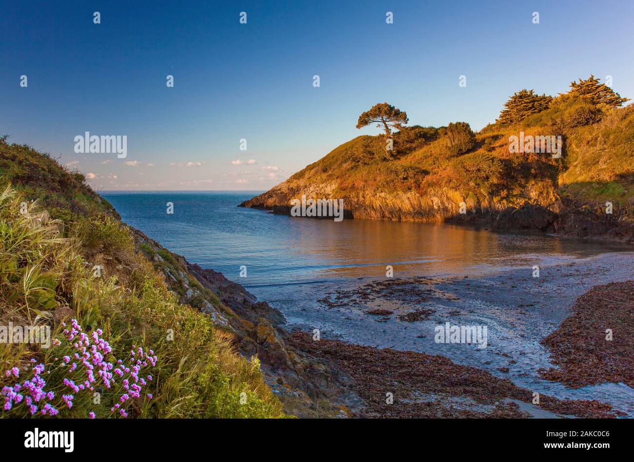 France, Finistere, Clohars-Carnoet, the bay of Porsac'h at sunrise ...