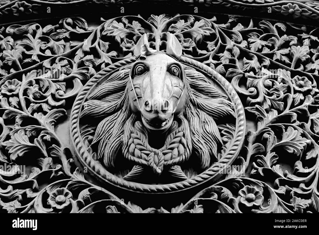 Engraved animal hi-res stock photography and images - Alamy