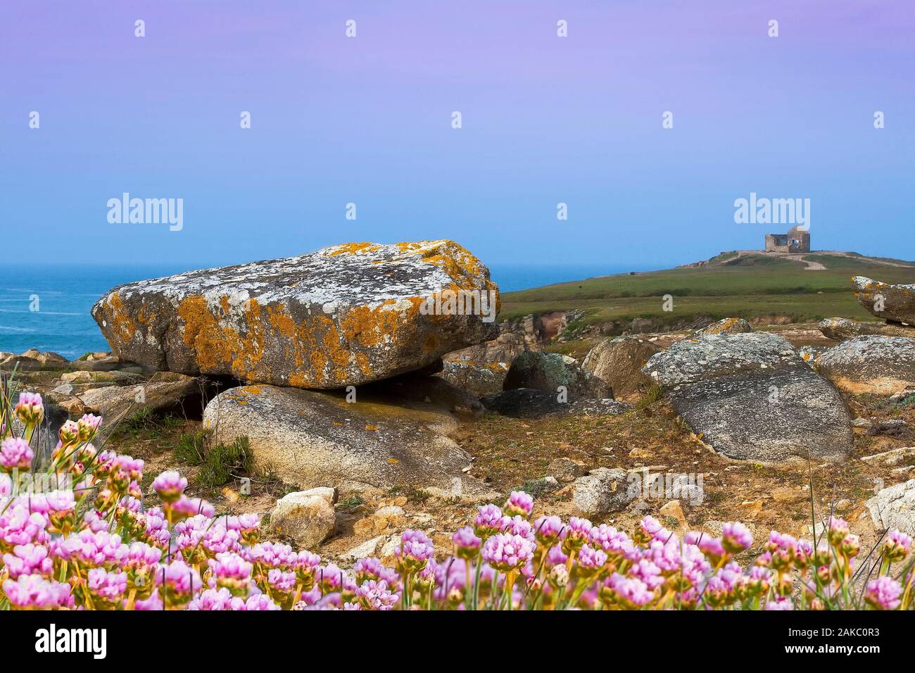 France, Morbihan, Quiberon peninsula, dolmen with a corridor of the 4th ...