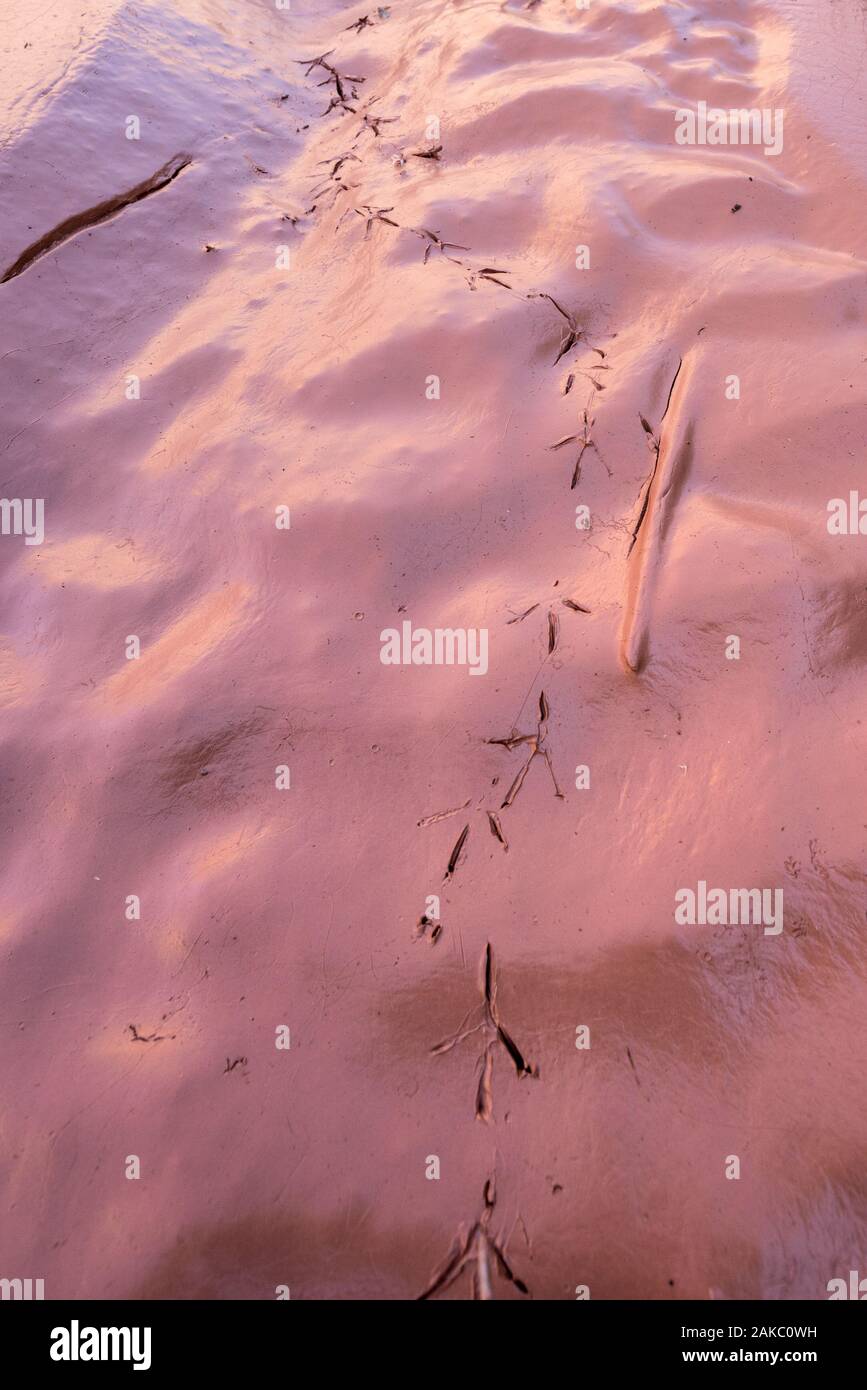 Silt river hi-res stock photography and images - Alamy