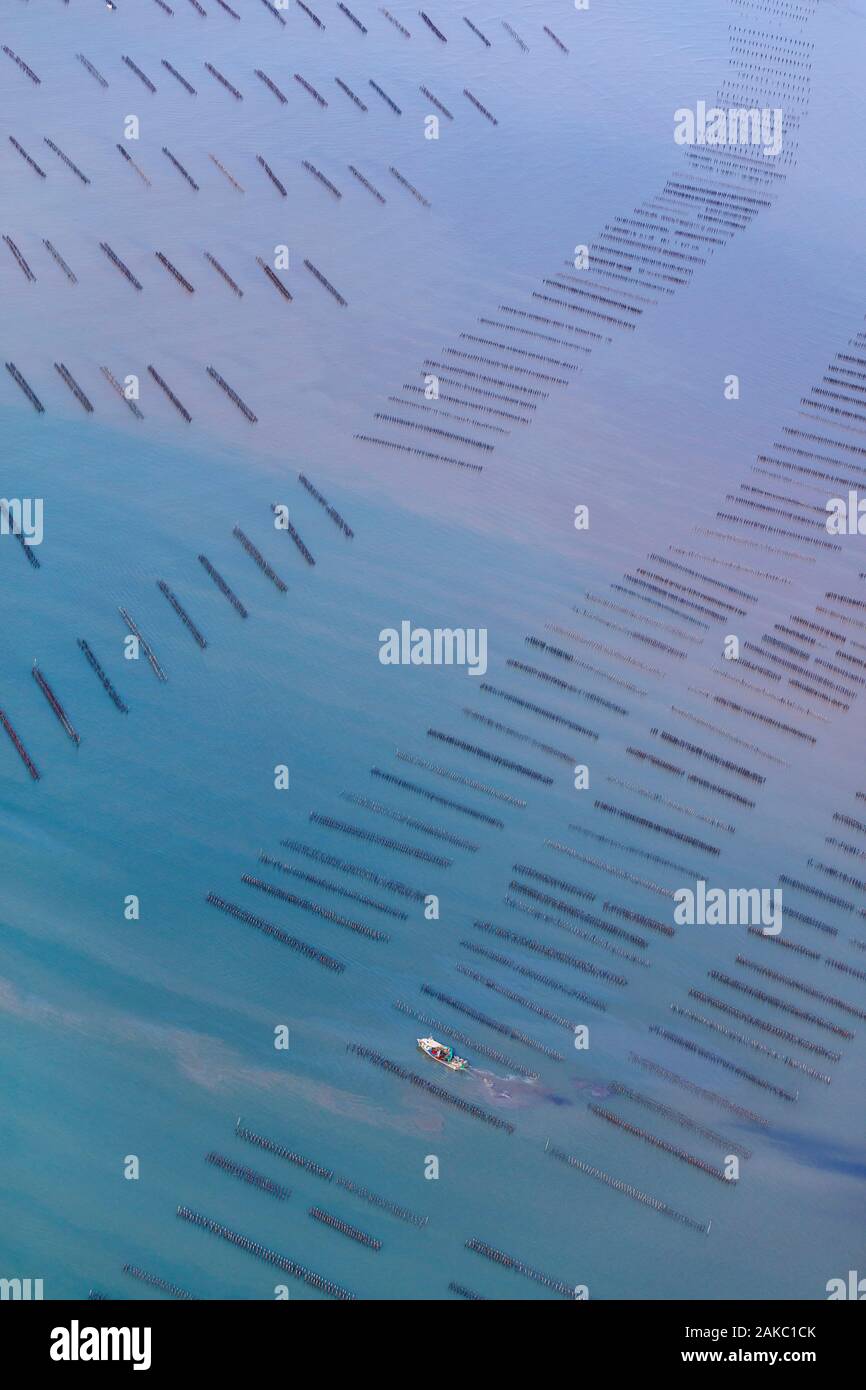 Aerial Of Mussel Aquaculture High Resolution Stock Photography and ...