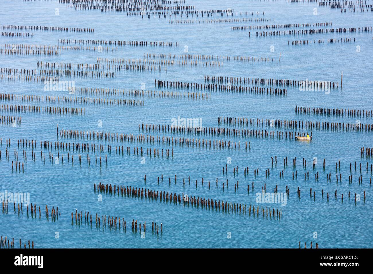 France, Vendee, La Faute sur Mer, mussel boat in mussel farm (aerial ...