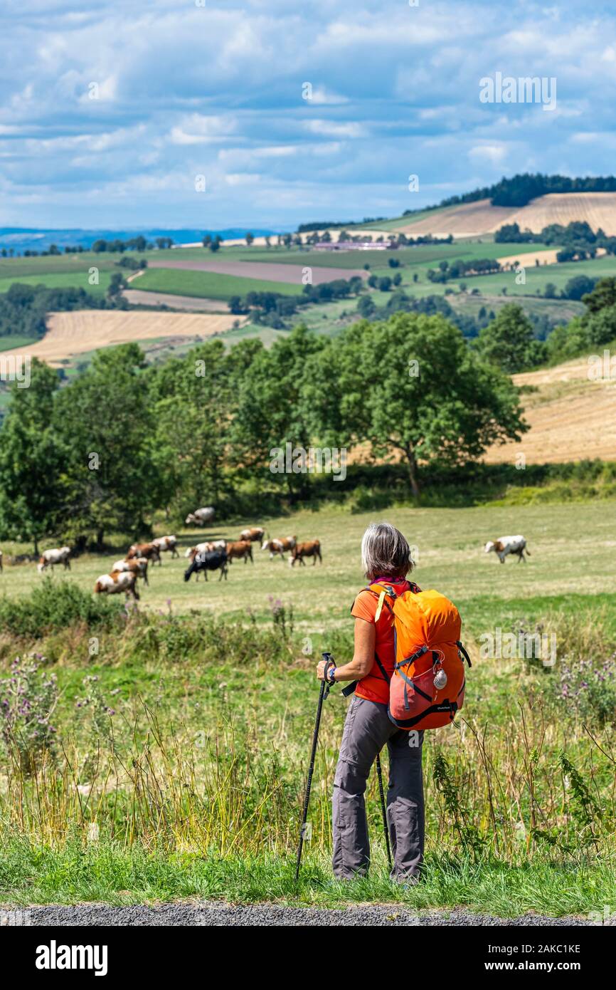 France, Haute-Loire, Bains, hike on Via Podiensis, one of the French ...