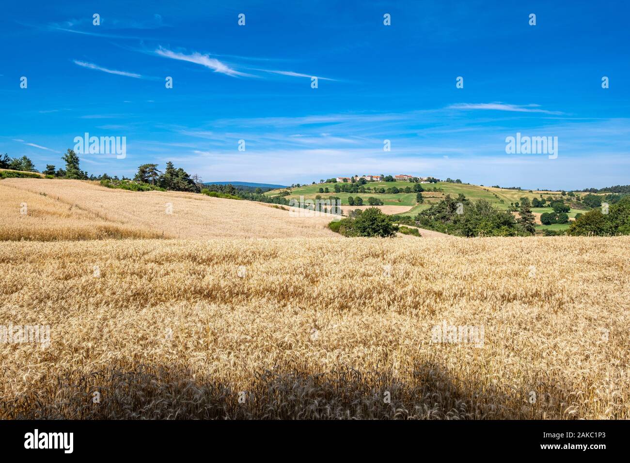 France, Haute-Loire, surroundings of Saugues along the Via Podiensis ...