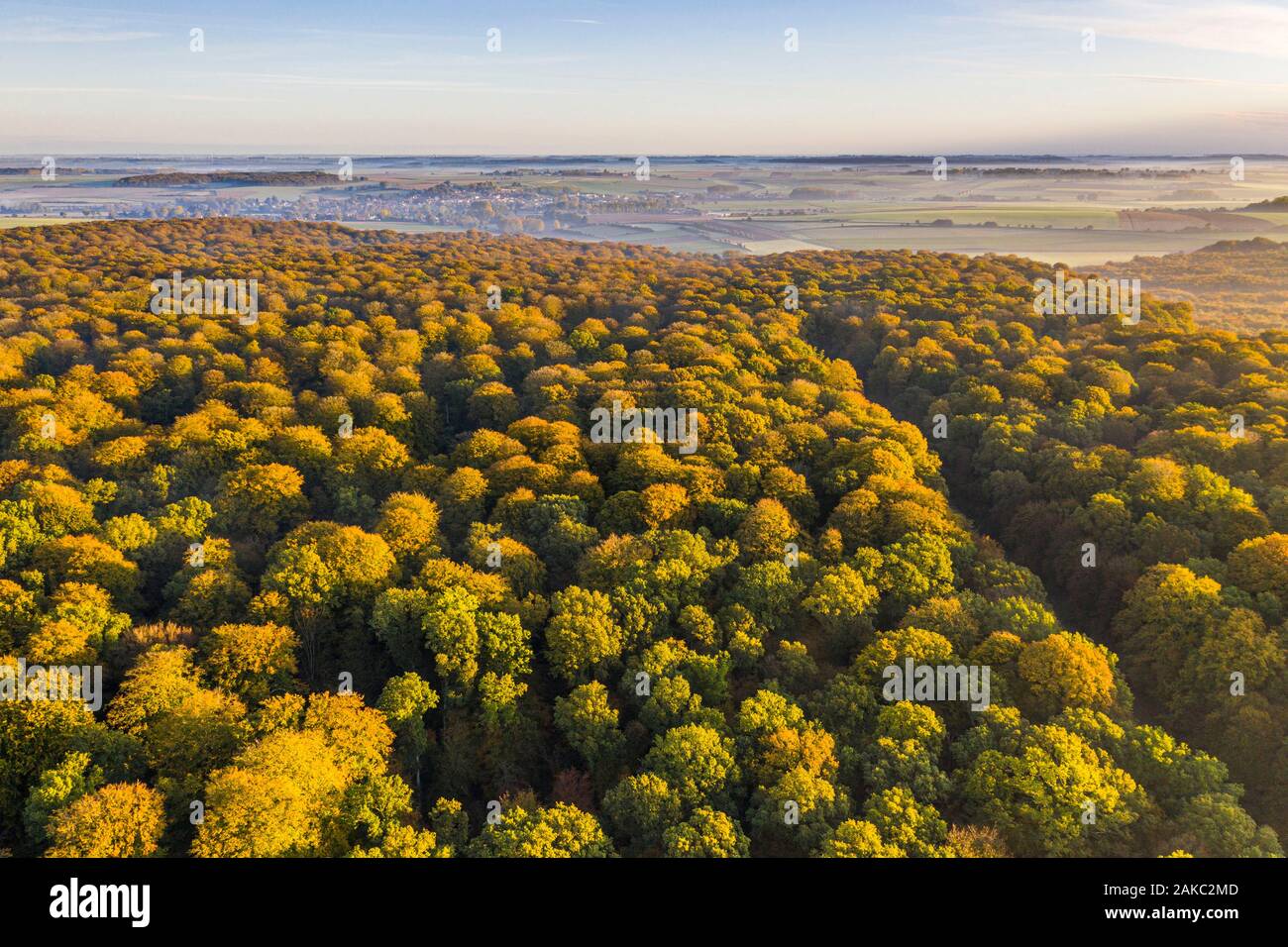 France, Somme, Crécy-en-Ponthieu, The Crécy forest emerges from the ...