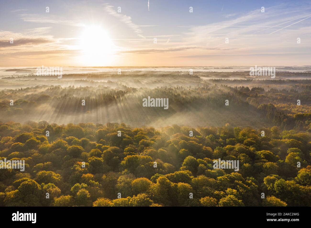 France, Somme, Crécy-en-Ponthieu, The Crécy forest emerges from the ...