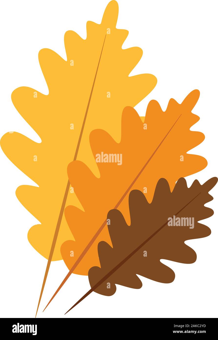 Isolated autumn leaf icon Stock Vector Image & Art - Alamy