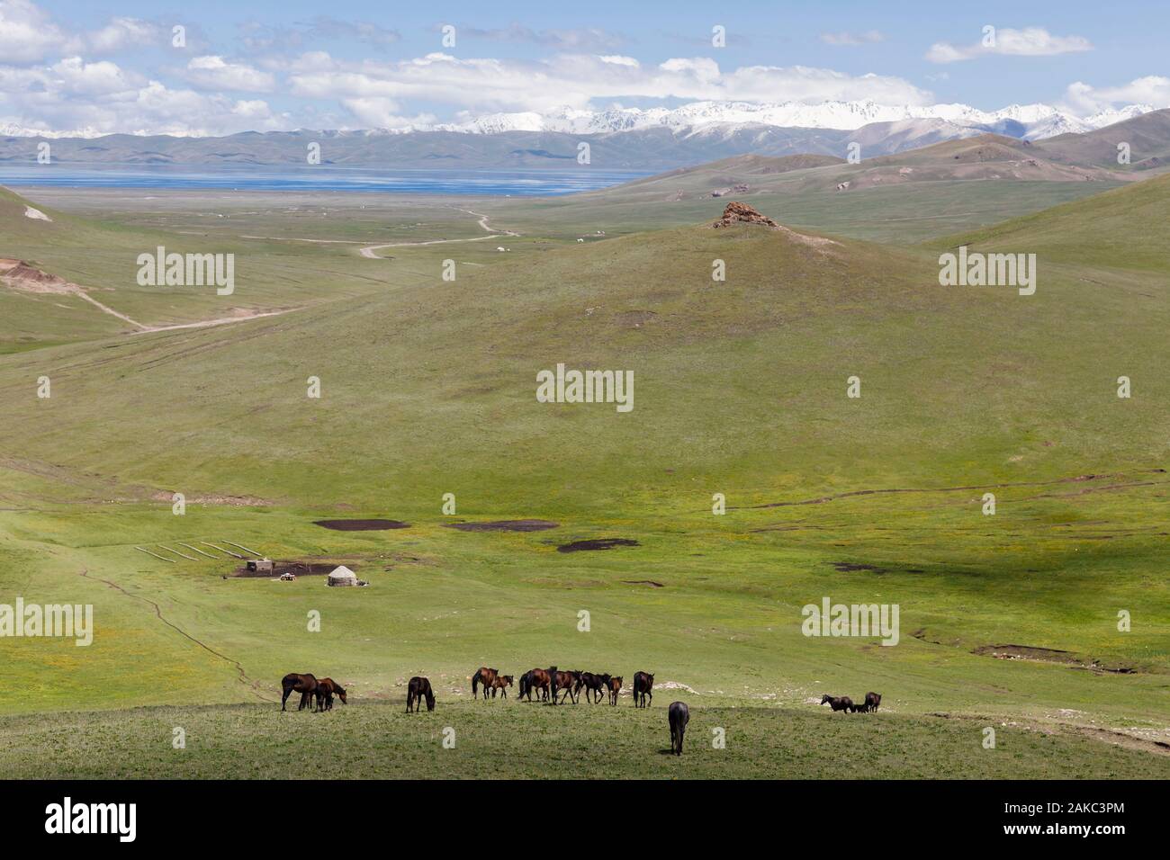 Kyrgyzstan, Naryn province, Son-Kol lake, altitude 3000m, nomad camp ...