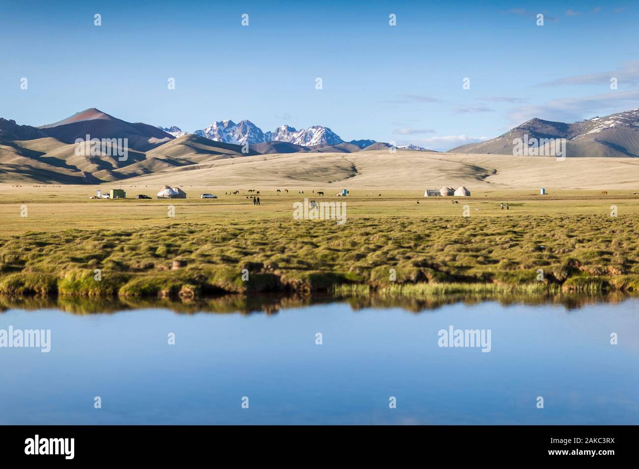 Kyrgyzstan, Naryn province, Son-Kol lake, altitude 3000m, yurt camp ...