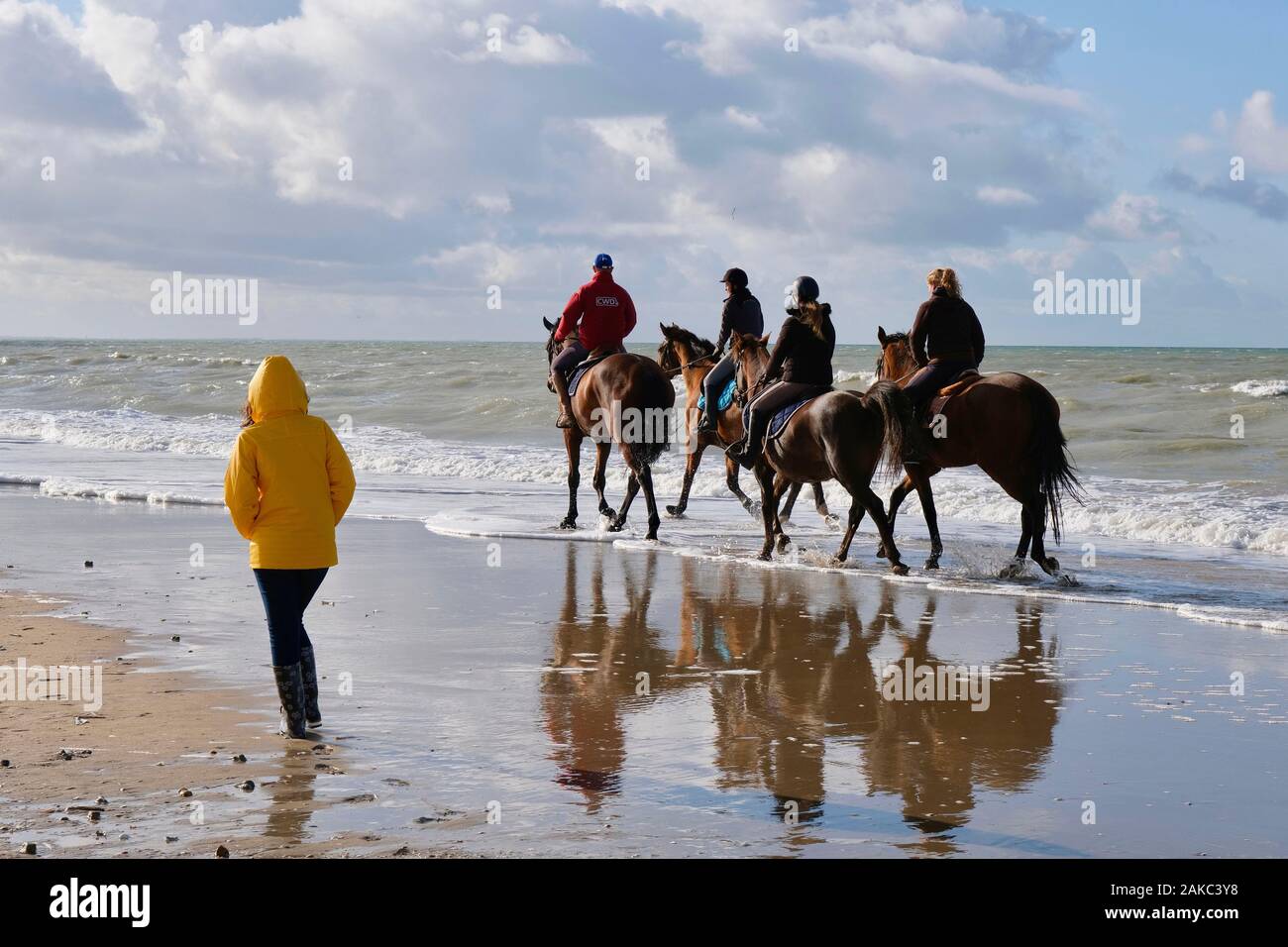 France, Calvados, Pays d'Auge, Deauville, the beach, horseback riding ...