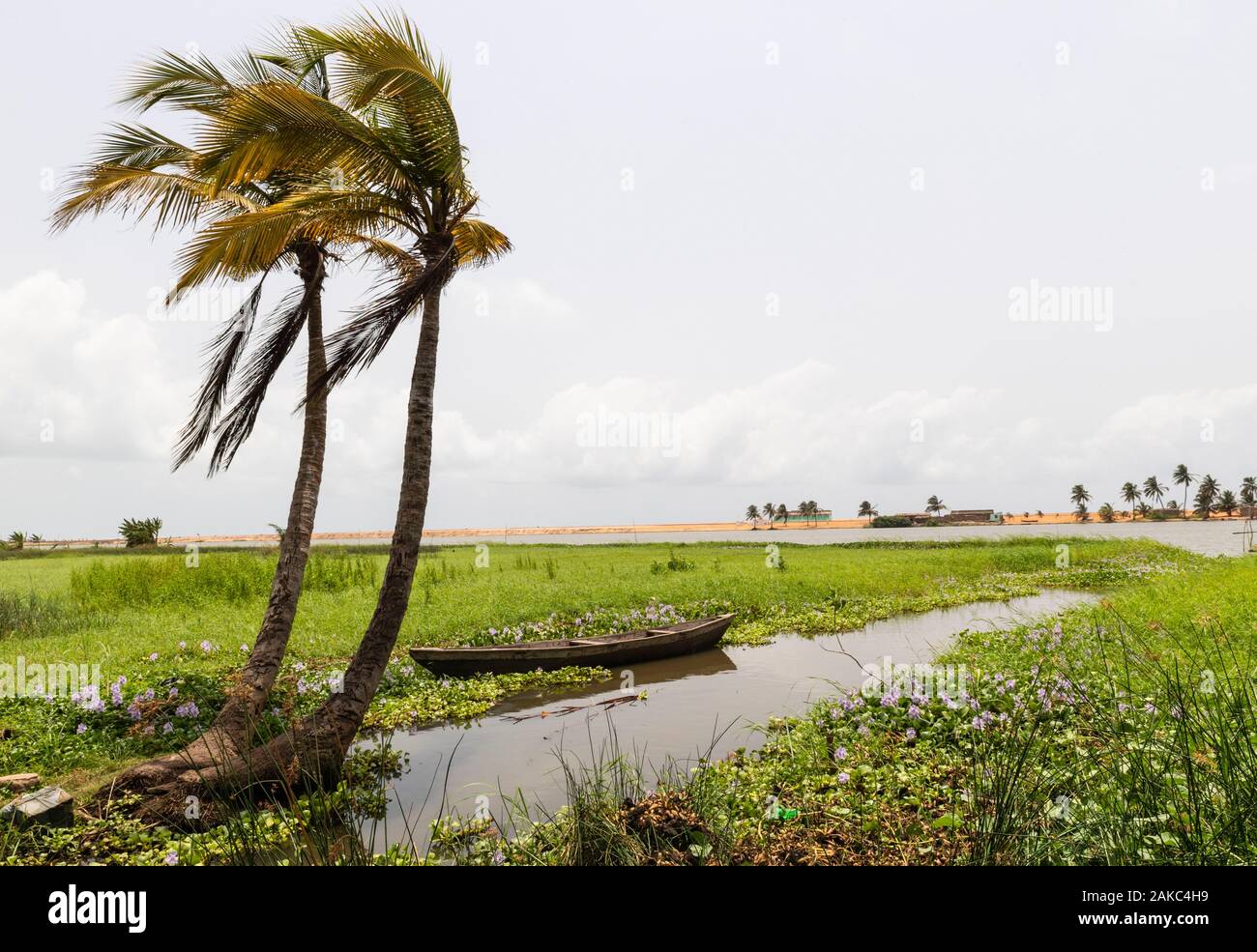 Benin, Grand Popo, view of mangrove and beach Stock Photo - Alamy