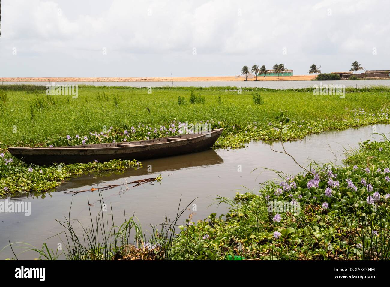 Benin, Grand Popo, view of mangrove and beach Stock Photo - Alamy