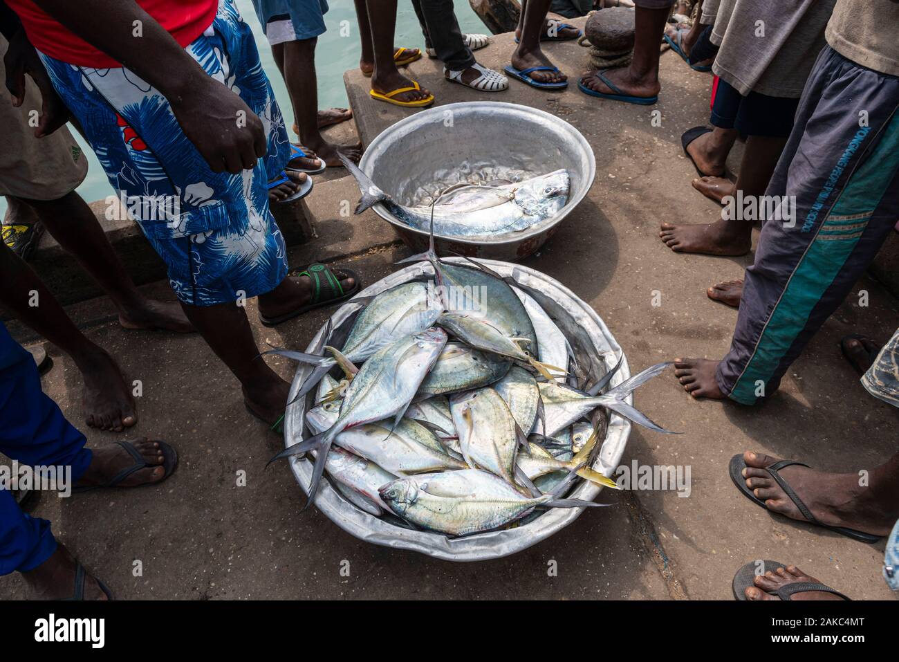 Benin, Cotonou, Fish market Stock Photo - Alamy