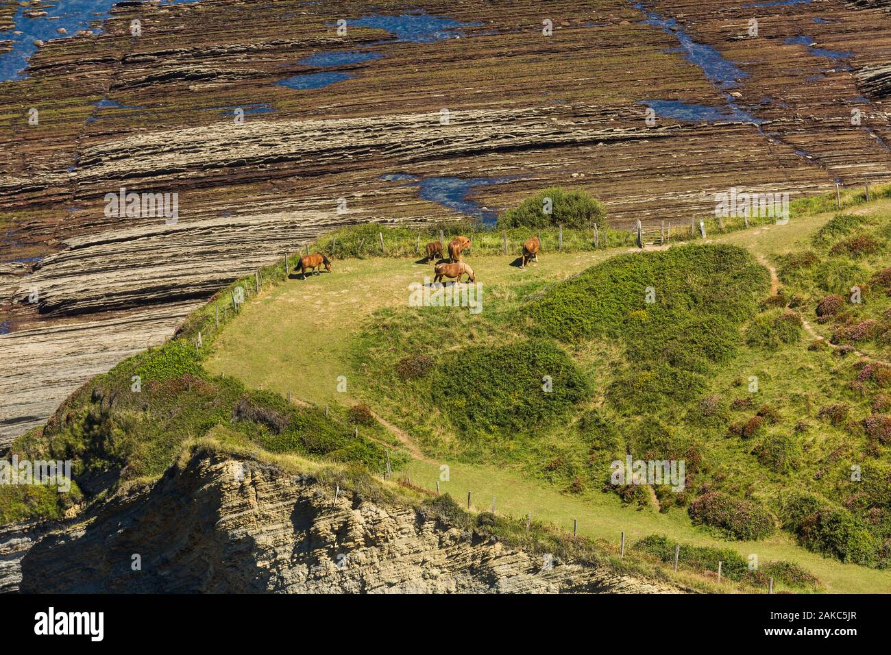 Spain, Basque Country, Guipuzcoa, Zumaia, UNESCO Flysch Geopark, or ...