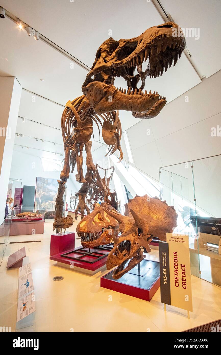 Toronto museum architecture hi-res stock photography and images - Alamy