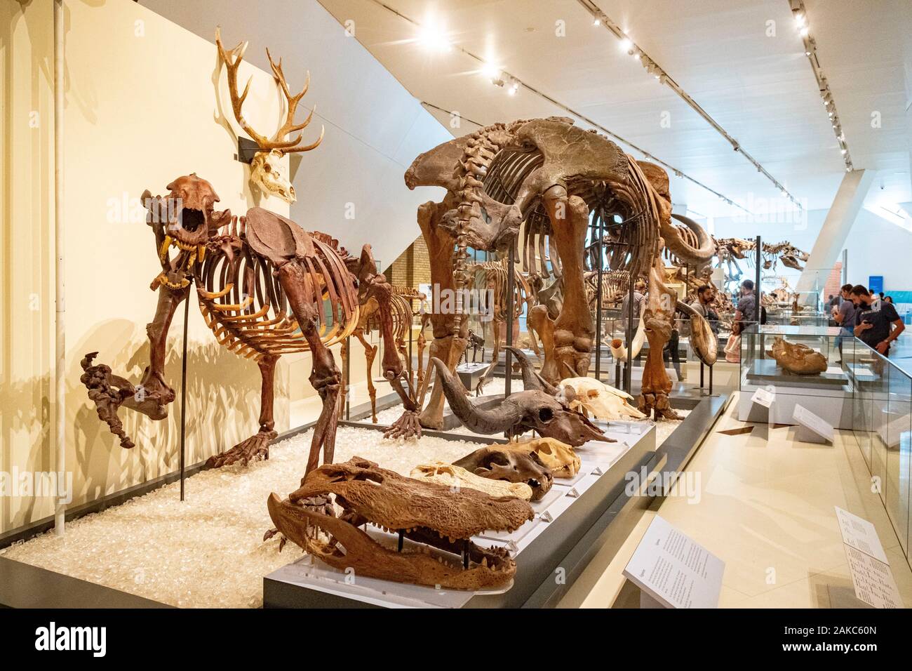 Toronto canada royal ontario museum hi-res stock photography and images ...