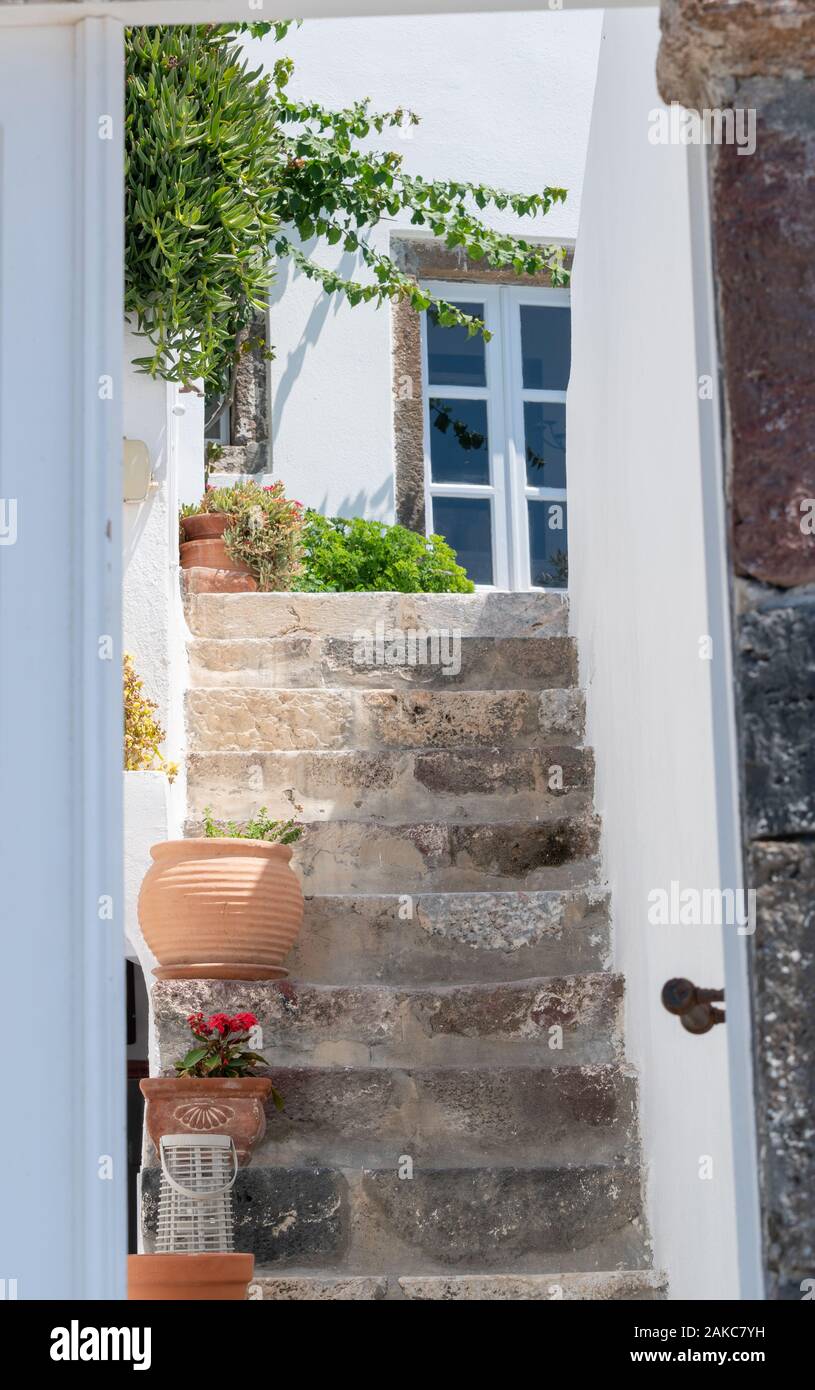 Potted pllants hi-res stock photography and images - Alamy