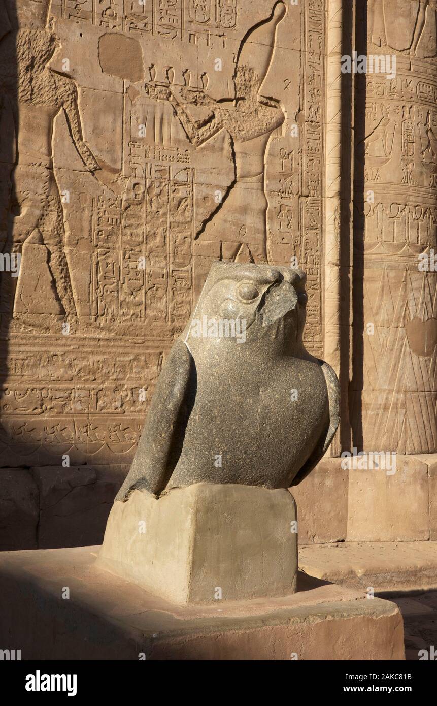 Egypt, Upper Egypt, Nile Valley, Edfu, falcon scultpure in front of the ...