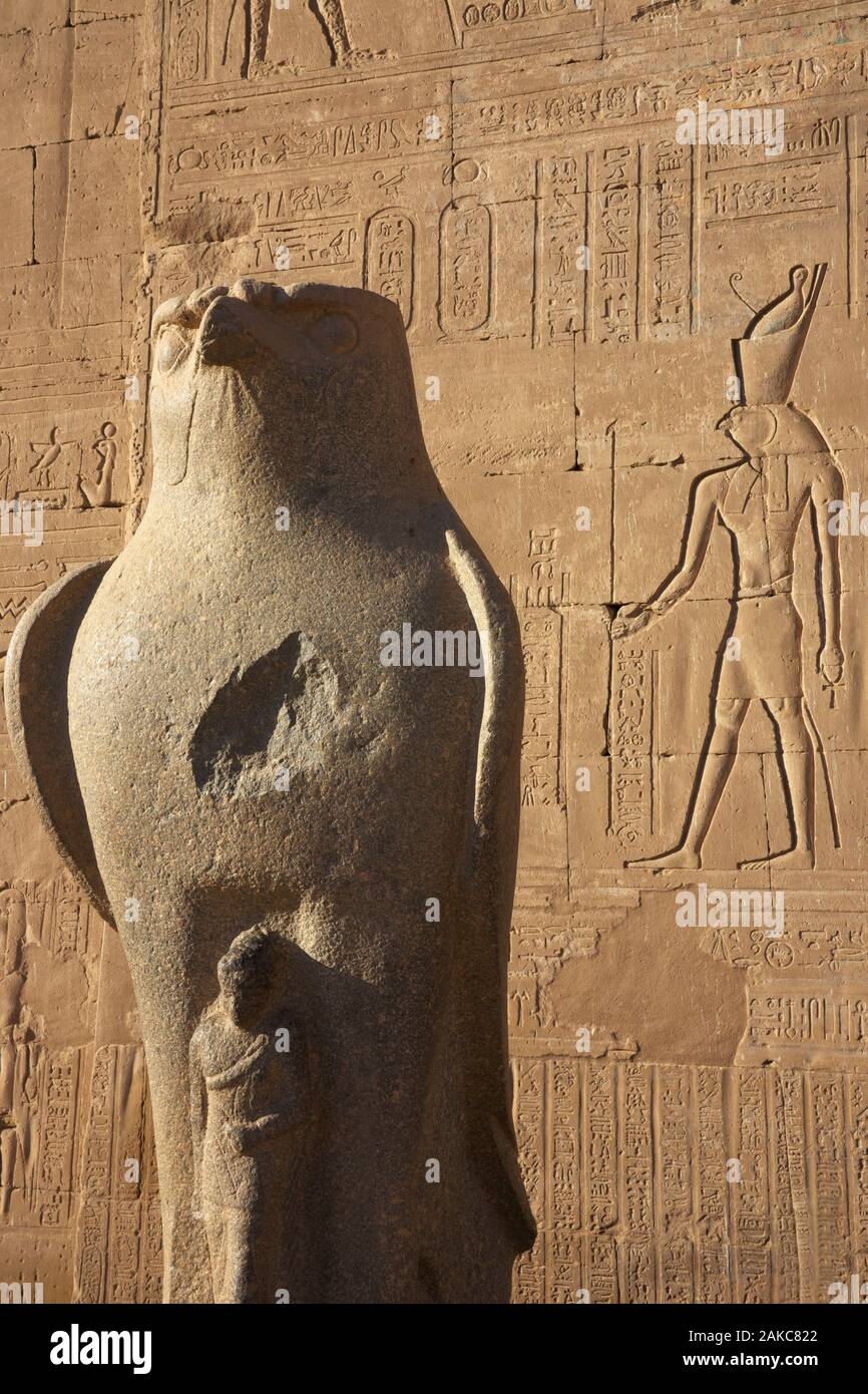 Egypt, Upper Egypt, Nile Valley, Edfu, falcon sculpture in front of the ...