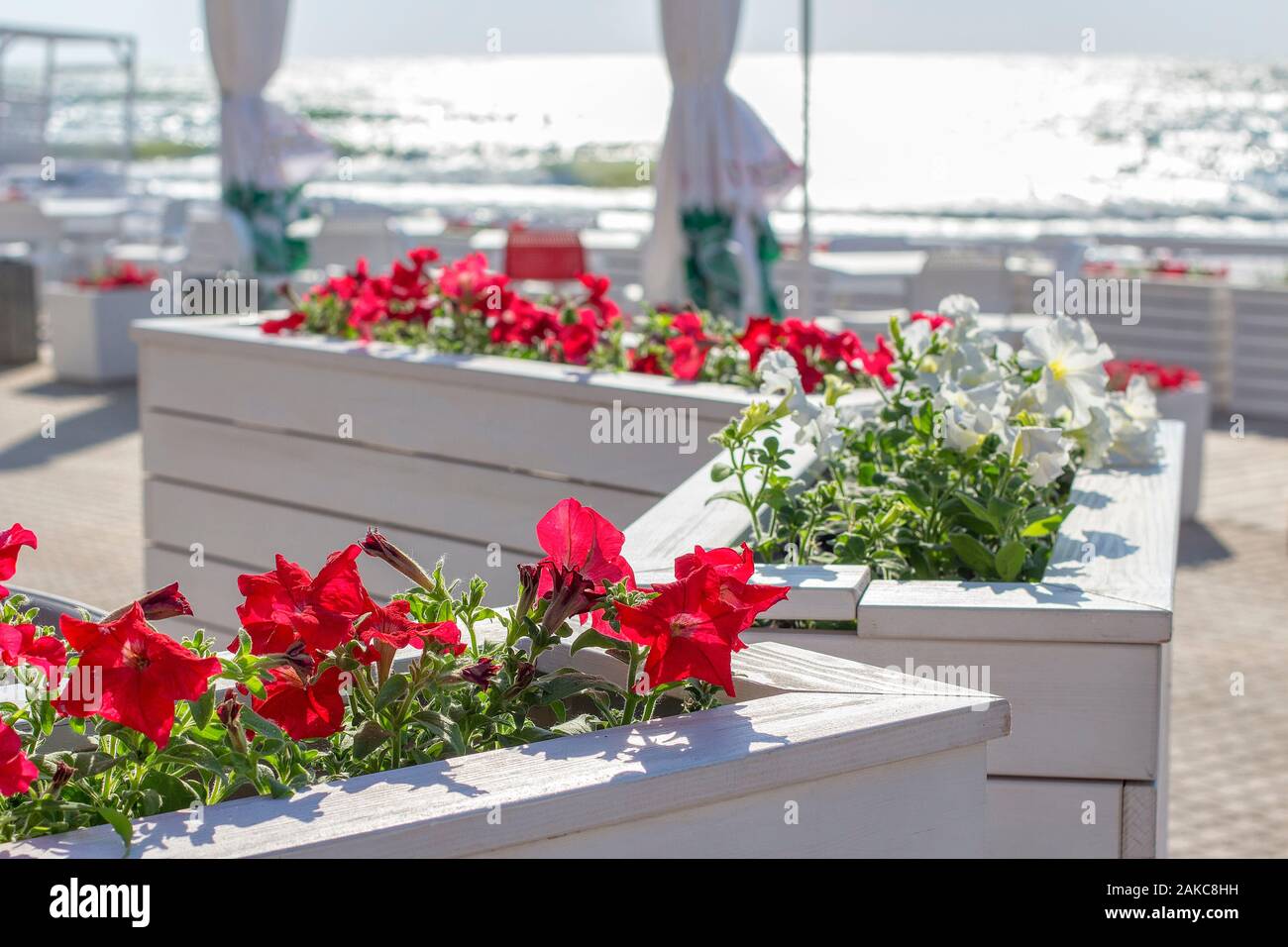 terrace with flowers on the seaside Stock Photo - Alamy